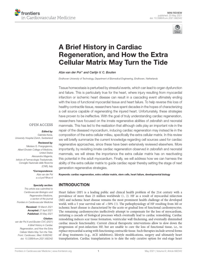 A Brief History in Cardiac Regeneration, and How The Extra Cellular ...