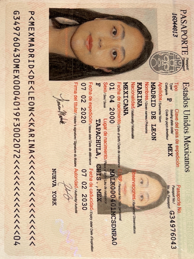 Karina Madrid Pasaporte | PDF
