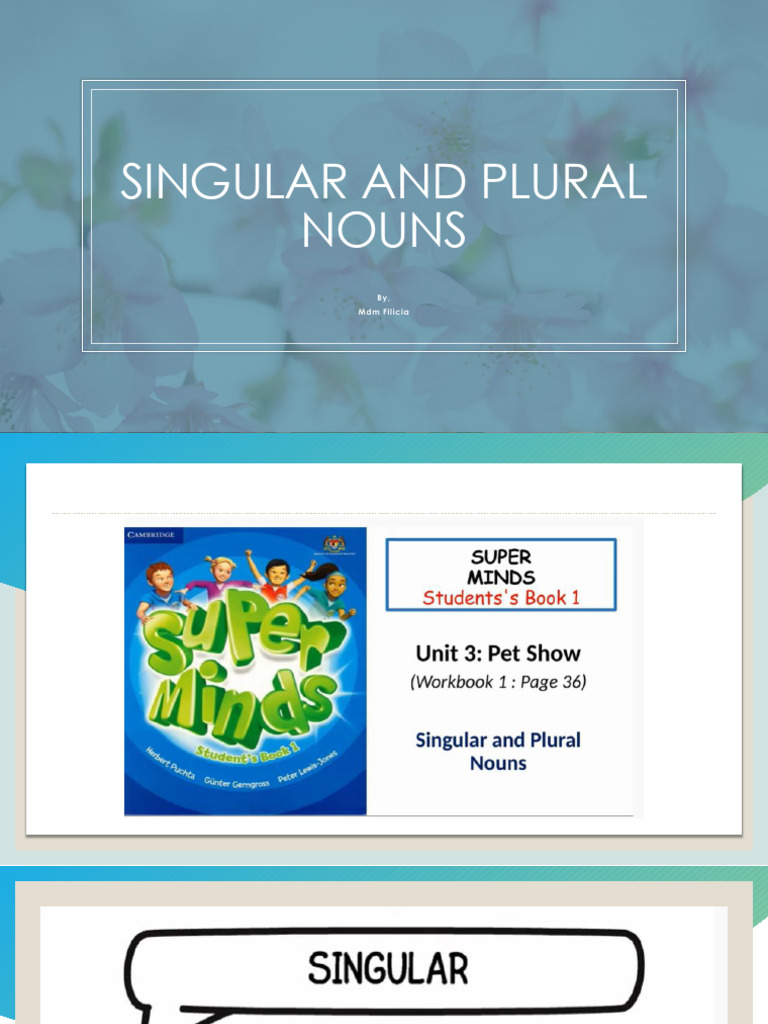 Year 1 Singular and Plural | PDF