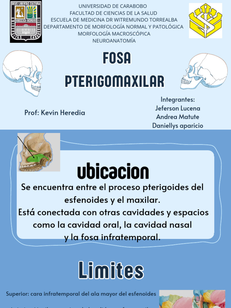 Fosa Pterigomaxilar | PDF
