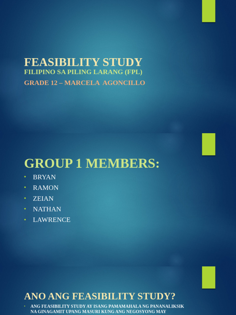 Feasibility Study | PDF