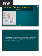 Module Excretory System | PDF | Human Body | Excretion