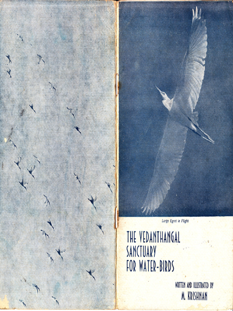 Vedaranyam Sanctuary | PDF