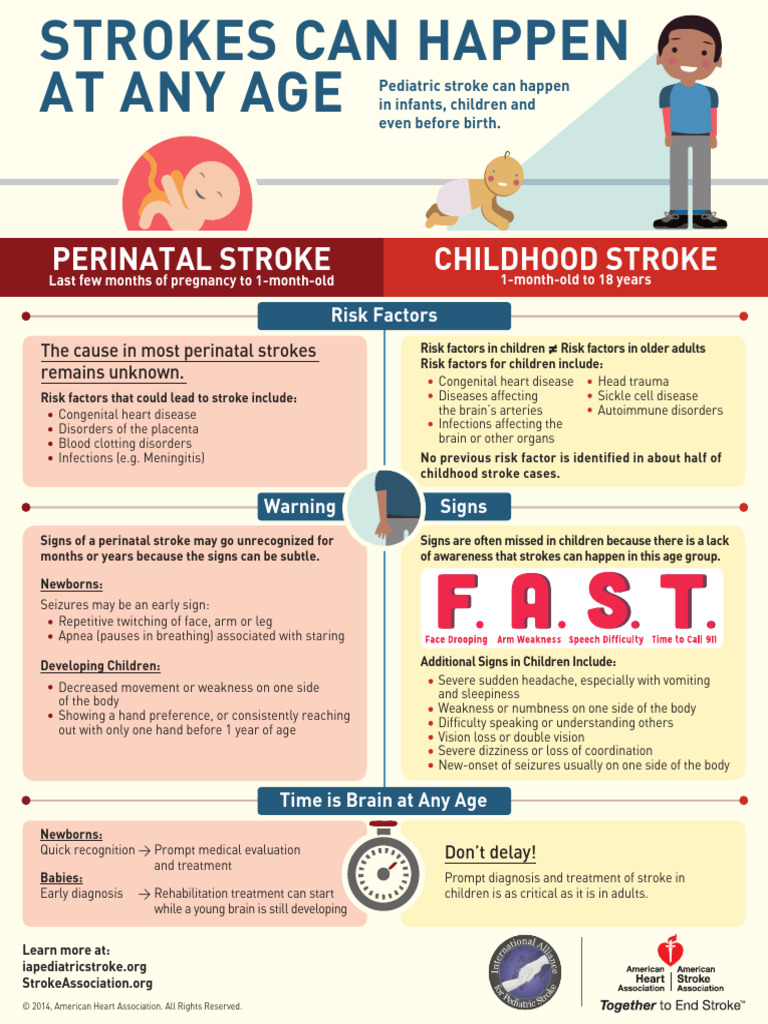 Pediatric StrokeFactSheet | PDF | Stroke | Medicine