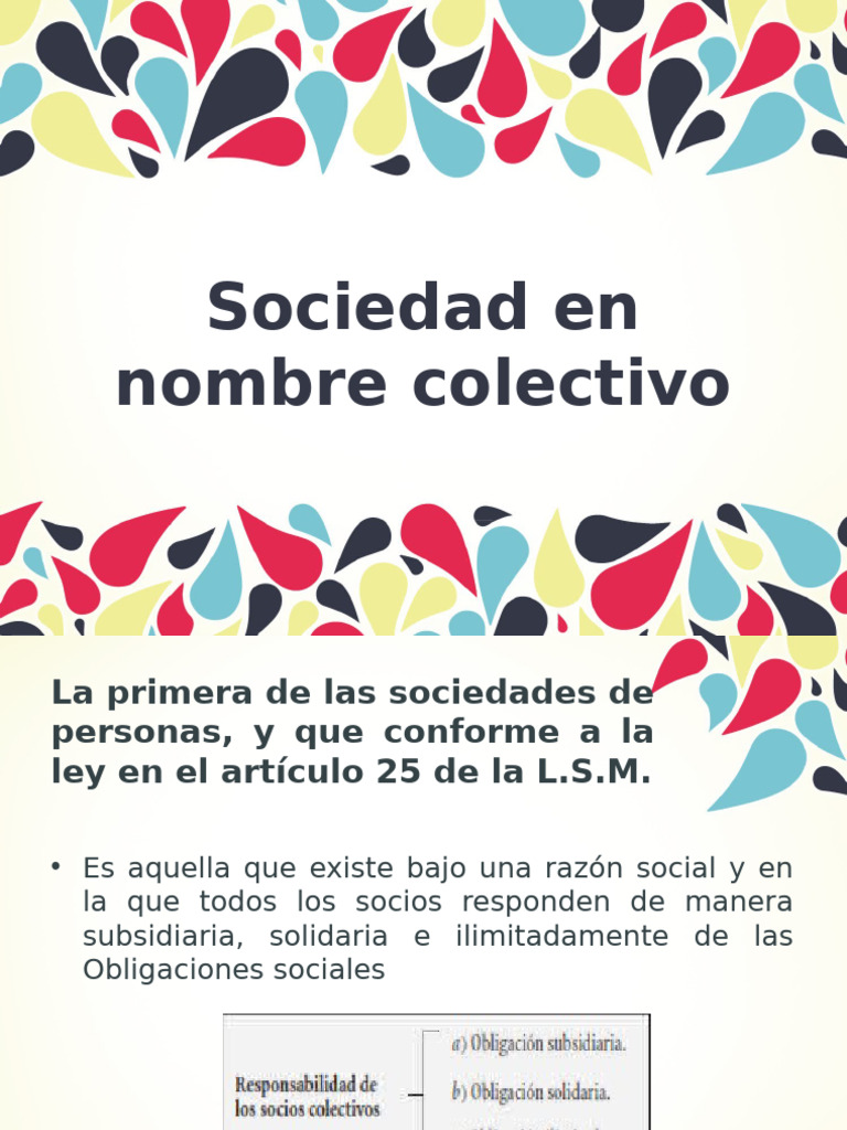 Sociedad en Nombre Colectivo | PDF | Gobierno