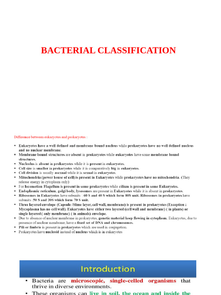 Bacterial Classification | PDF