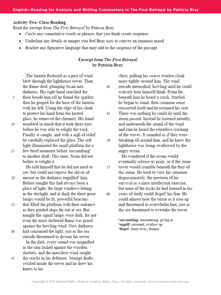 Commentary | PDF | Young Adult