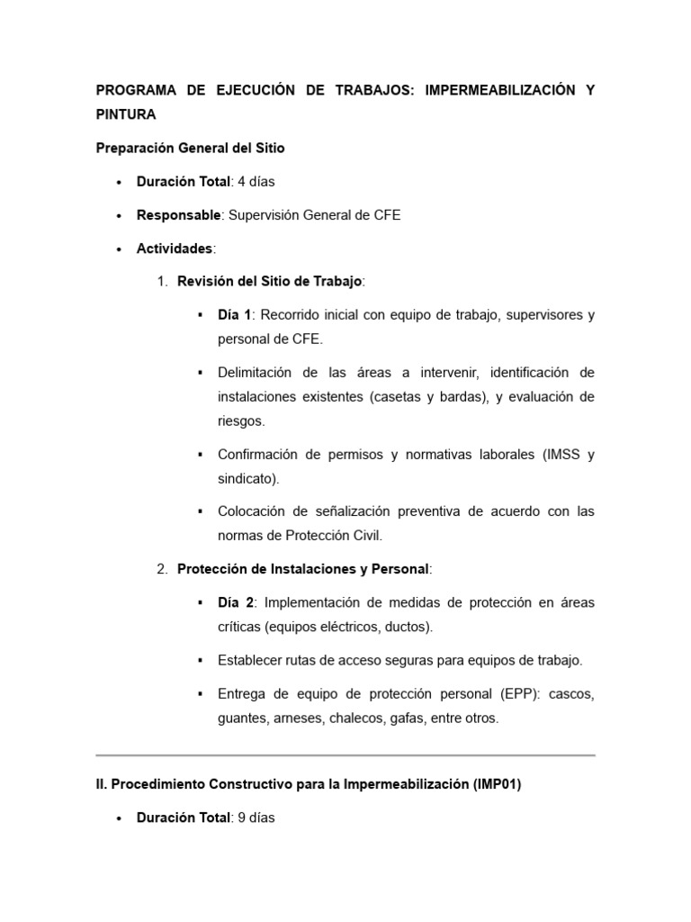 Programa de Ejecucion de Trabajos | PDF | Pintar