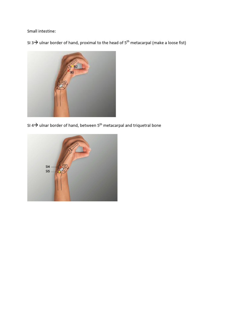 Small Intestine: SI3 Ulnar Border of Hand, Proximal To The Head of 5 ...