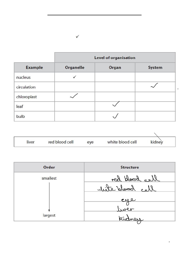 Classification and Cells Past Paper Questions A | PDF