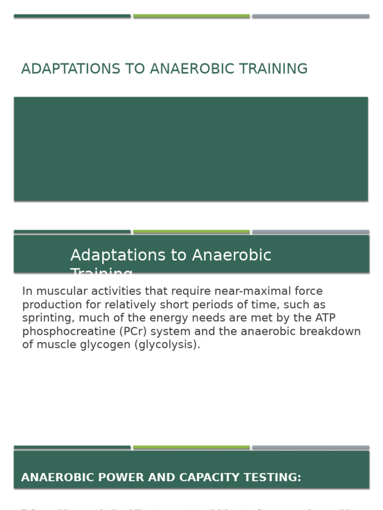 Adaptations To Anaerobic Training | PDF | High Intensity Interval ...