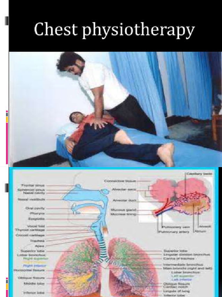 Chest PT 2 | PDF