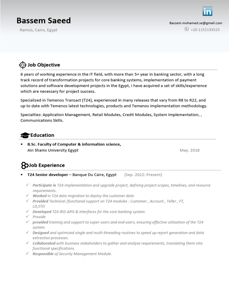 Bassem Saeed: Job Objective | PDF | Enterprise Resource Planning | Databases