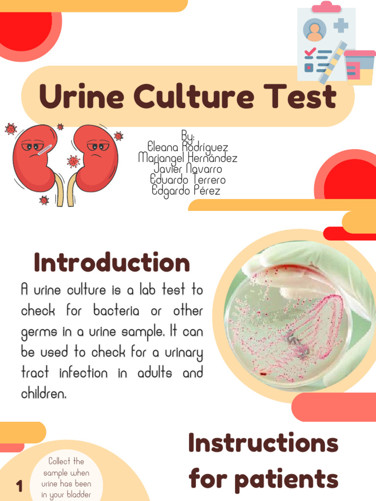 Urine Culture - 20241009 - 155846 - 0000 | PDF | Urinary Tract ...