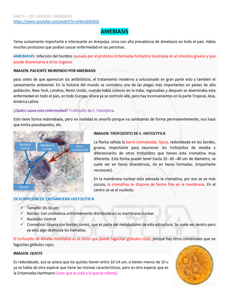 3 (B) . - Amebiasis | PDF | Diarrea | Enfermedades y trastornos