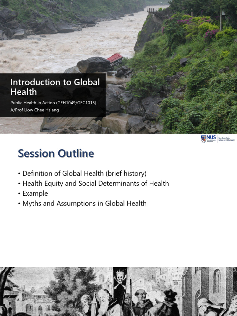 Introduction to Global Health Overview | PDF | Global Health | Health ...