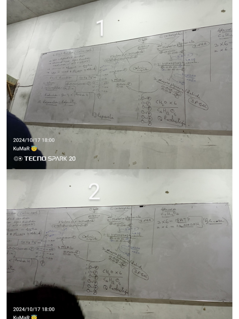 17 10 24 | PDF