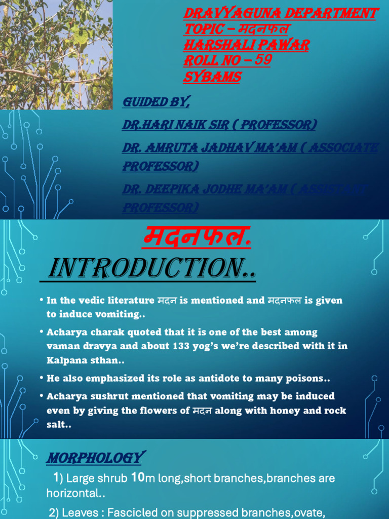 Madanphal (Randia Spinosa) | PDF