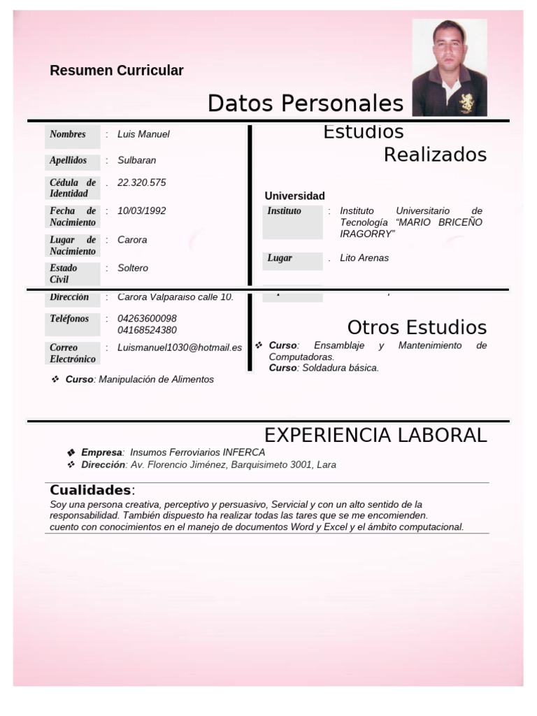 Resumen Curricular Web | PDF