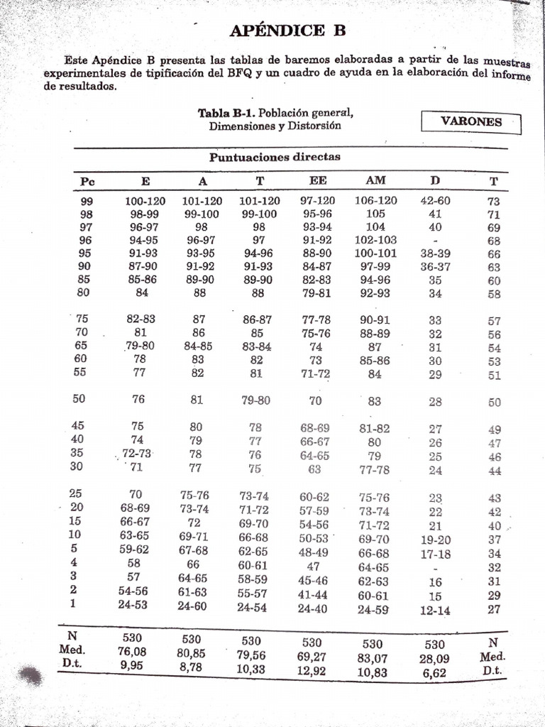 Baremos Big Five | PDF