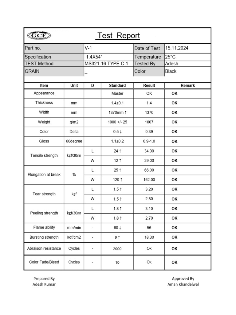 V1 Test Report | PDF
