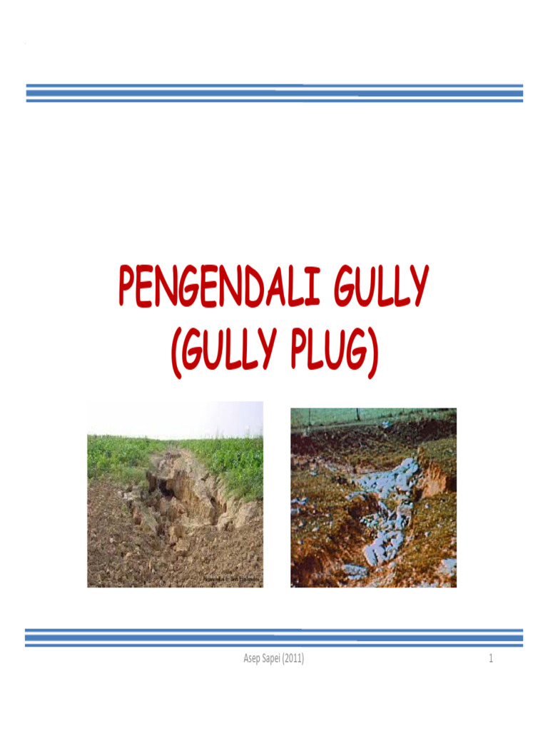 Gully | PDF