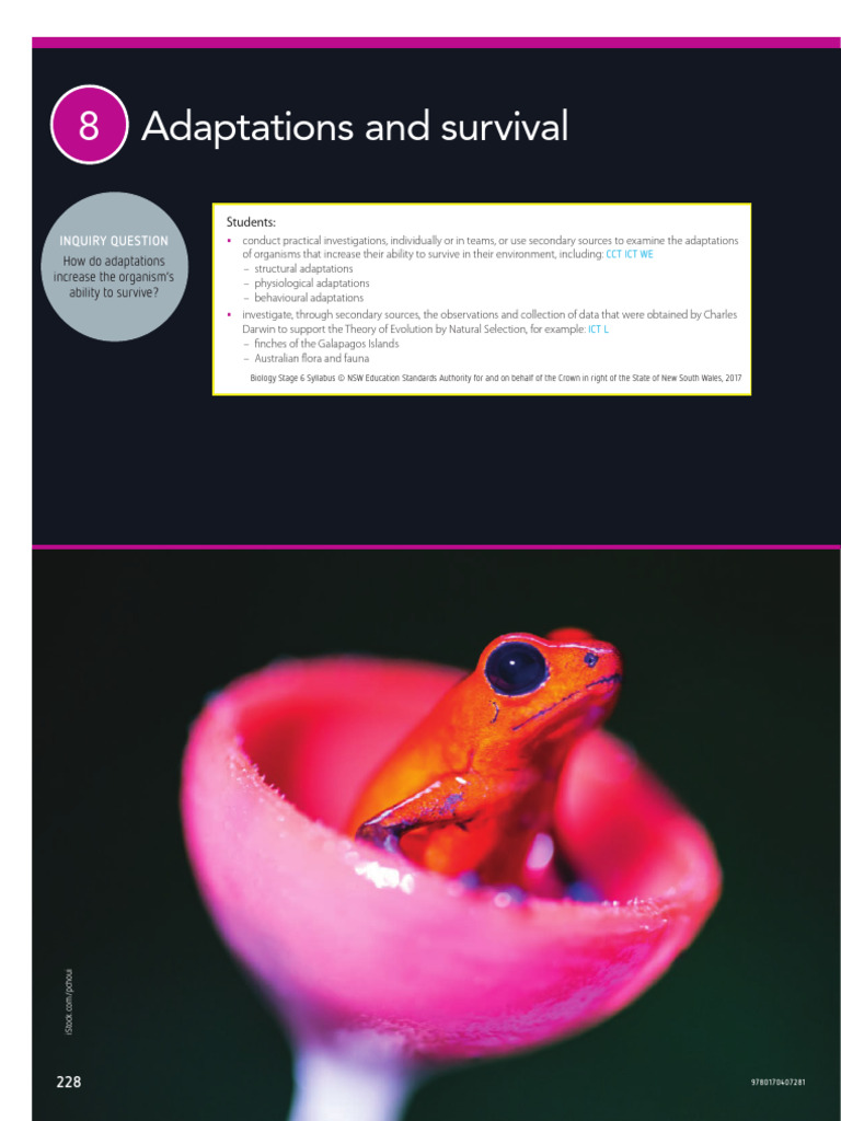 Mod 3 CH8 Adaptations and Survivial | PDF | Leaf | Stoma