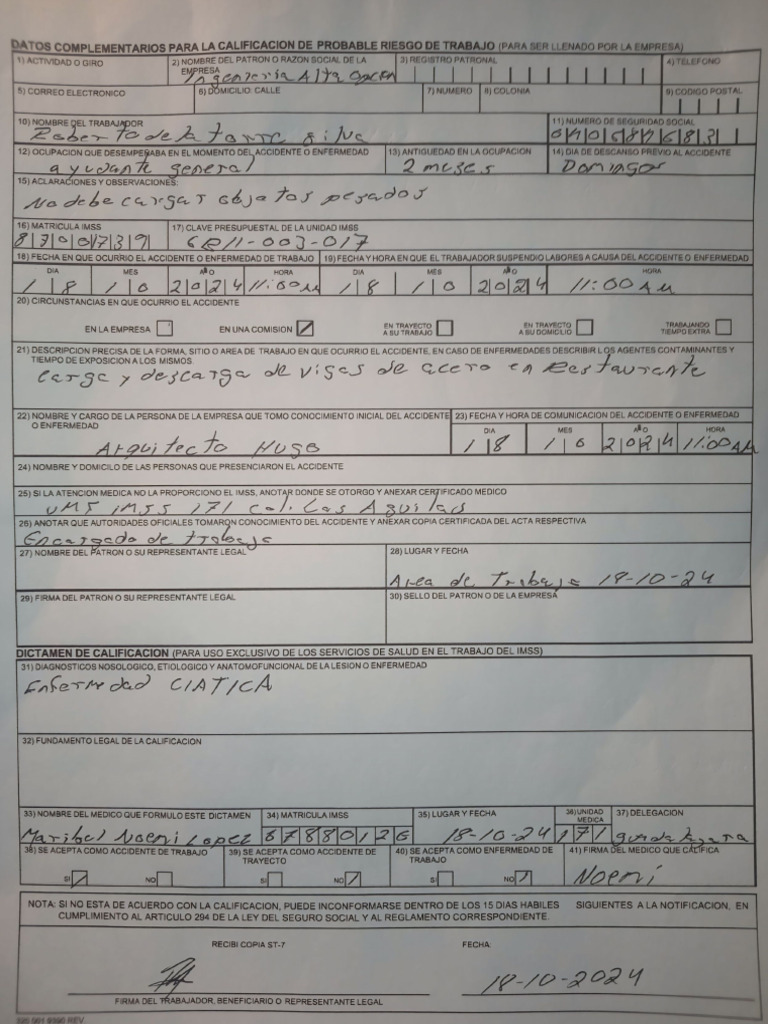 Documento IMSS ST-7 | PDF