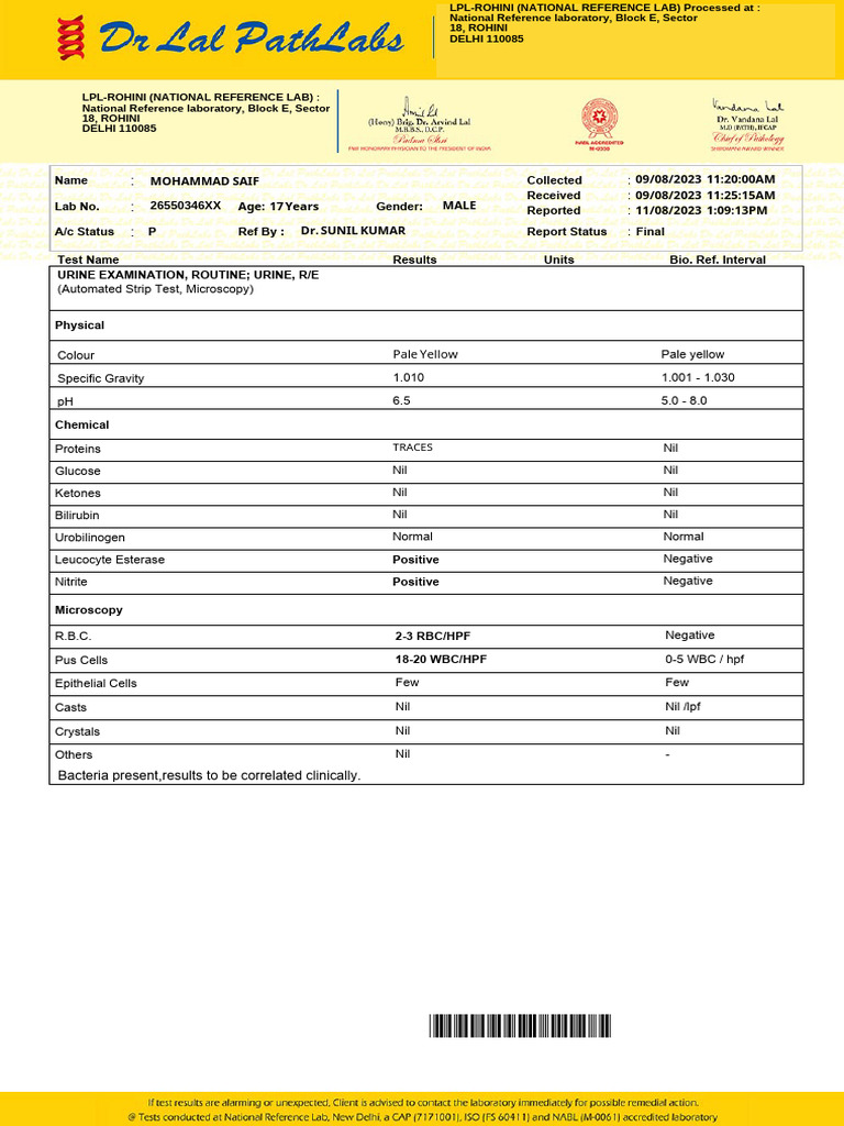 CBC Report | PDF | White Blood Cell | Blood
