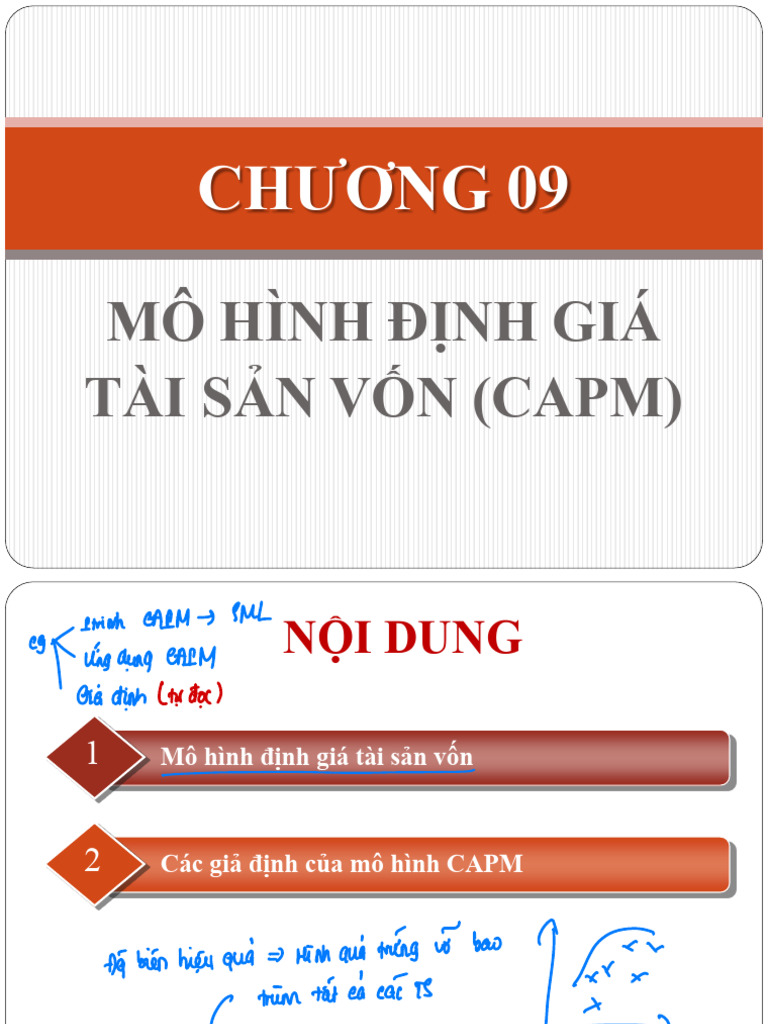 C09 CAPM Online | PDF