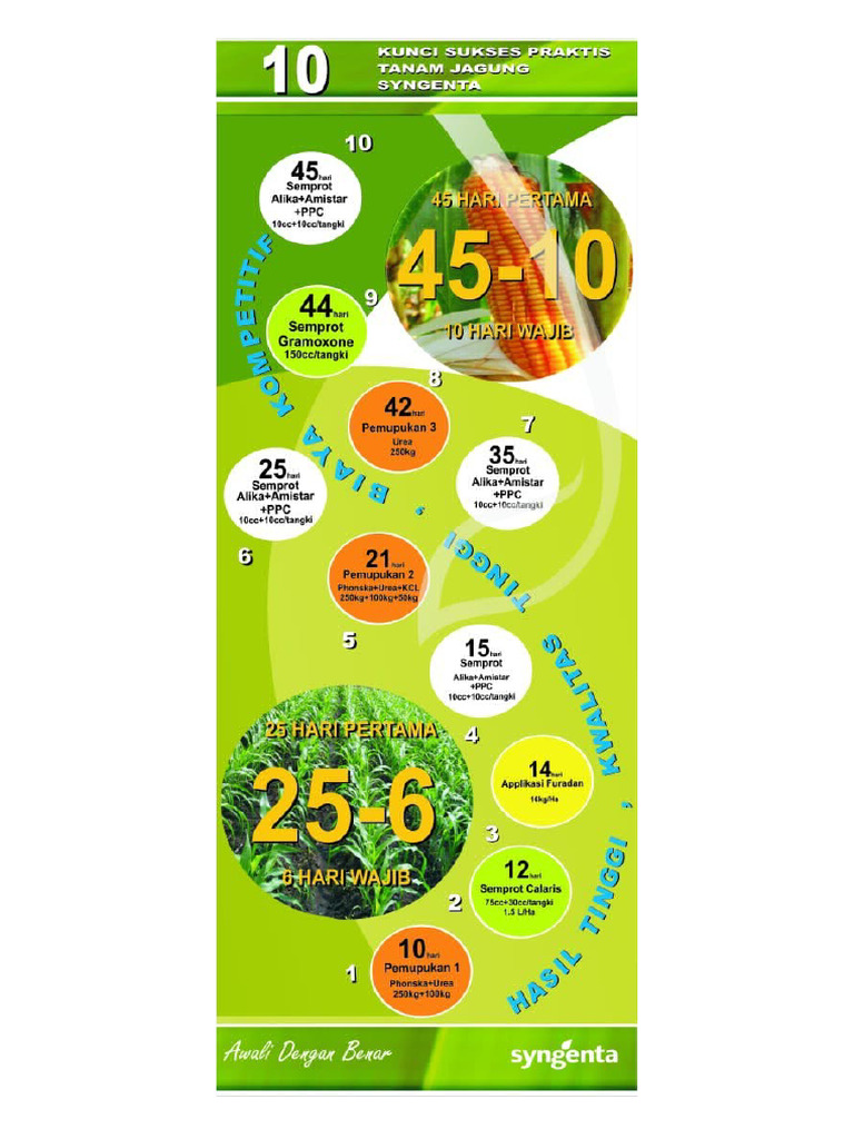 SOP Tanam Jagung Syngenta | PDF