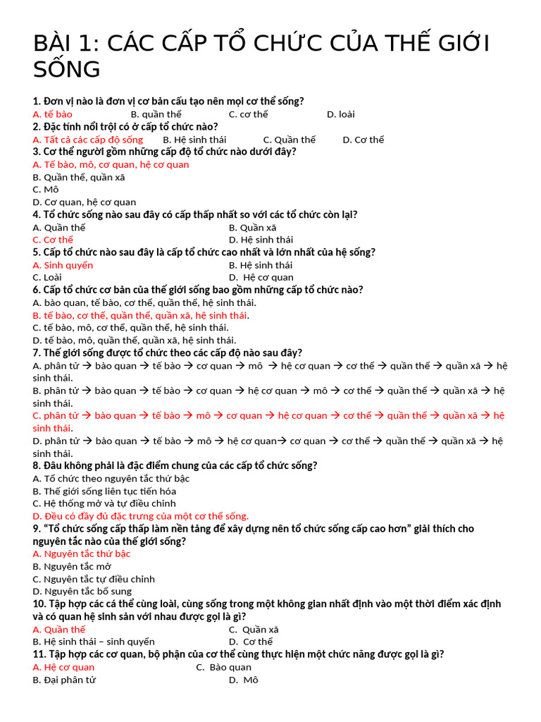 K10 Ngan Hang Cau Hoi | PDF