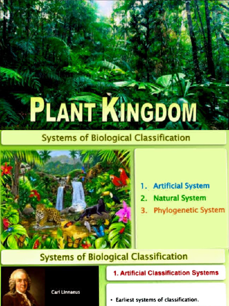 Plant Kindom | PDF