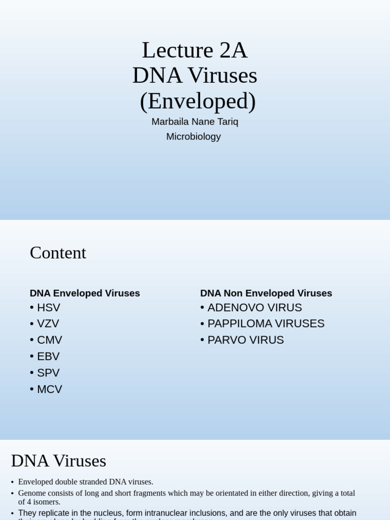 Lecture 2A DNA Viruses Env | PDF | Virus | Infection