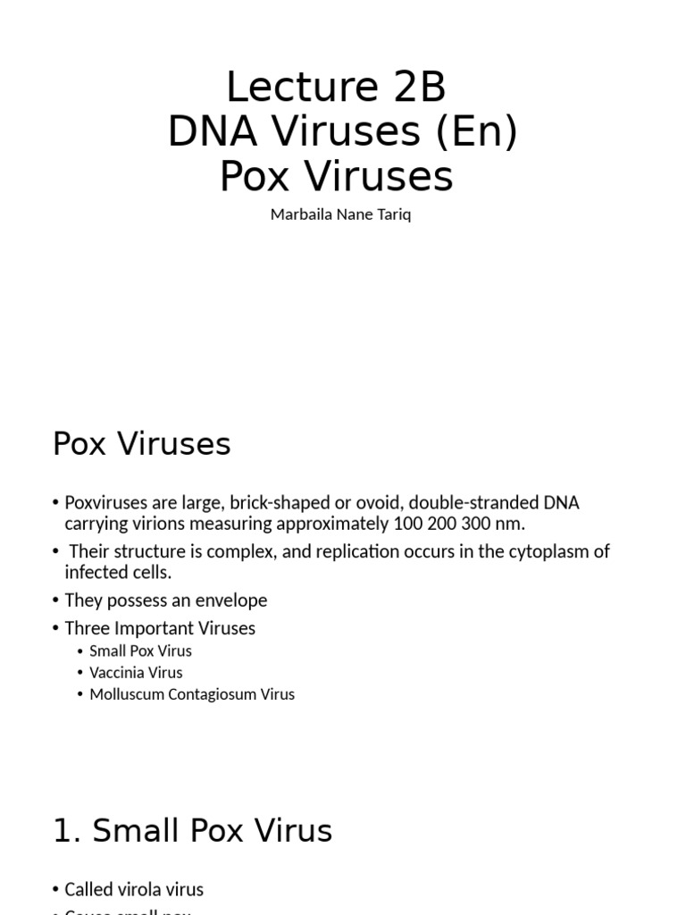 Lecture 2B DNA Virus Pox Virus | PDF | Virus | Smallpox