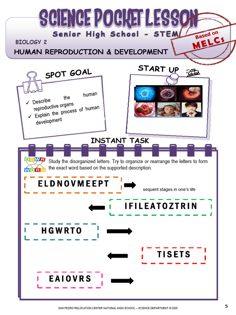 Human Reproduction and Development Guide | PDF | Uterus | Embryo