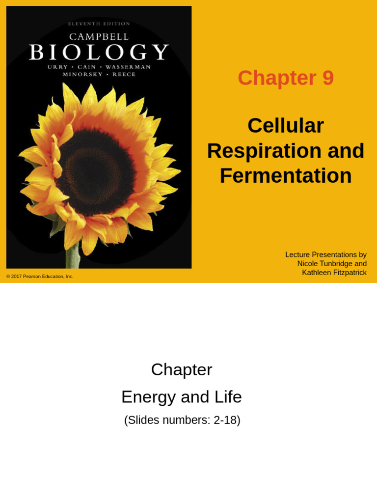 Cellular Respiration | PDF | Cellular Respiration | Adenosine Triphosphate