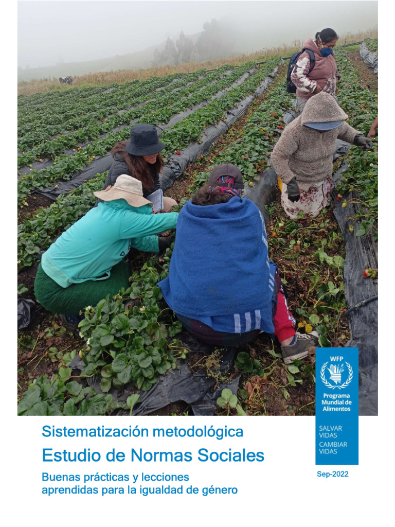 WFP Ecuador Sistematizacion SNET SBCC Sep 2022 | PDF | Comportamiento ...