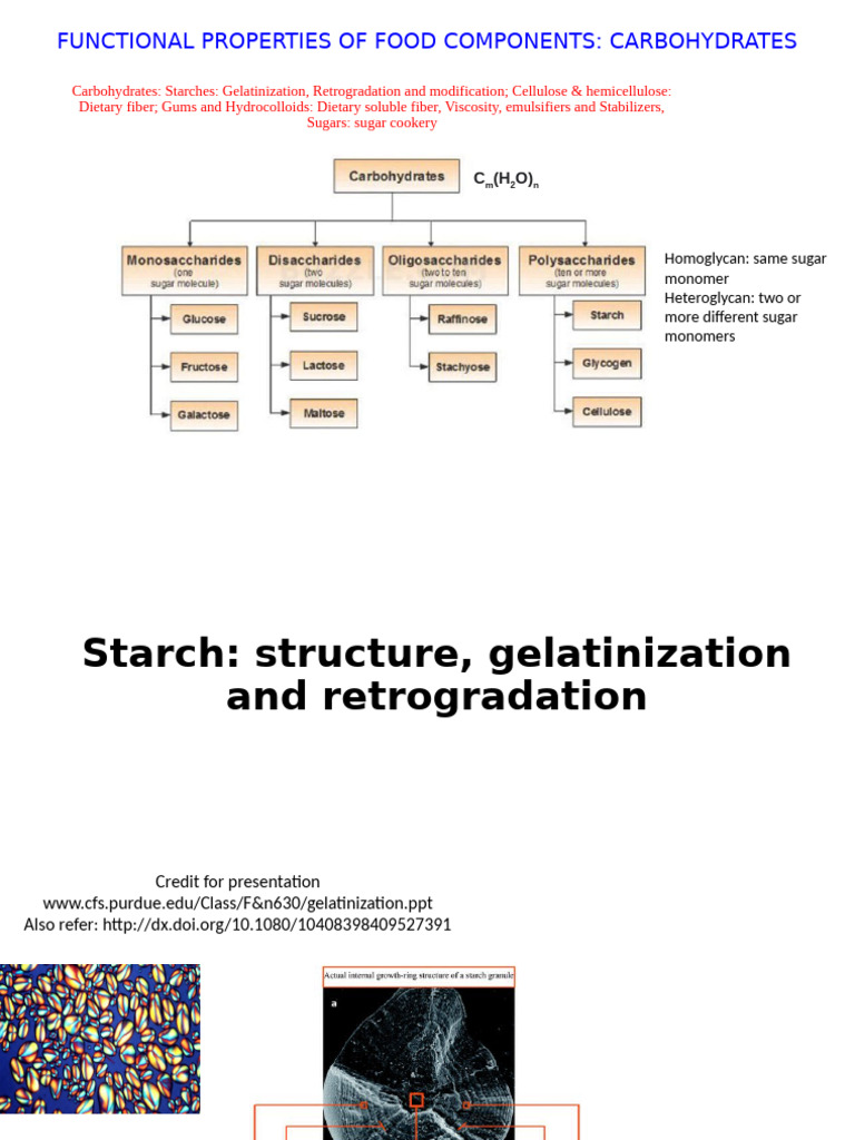 L.3 Functional Food Components Carbohydrates | PDF | Dietary Fiber ...