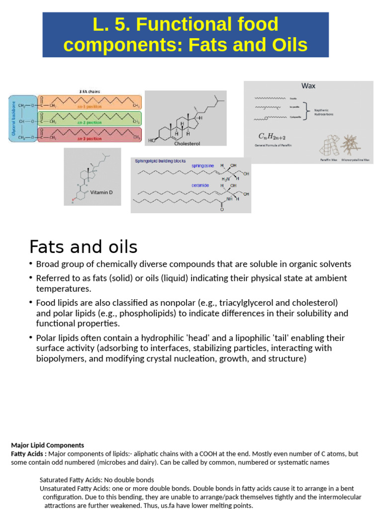 L.5 Functional Food Components Fat | PDF | Fatty Acid | Lipid
