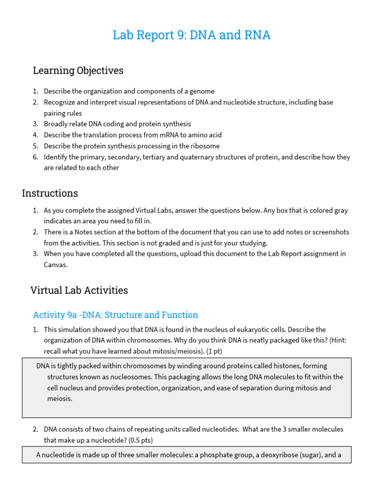 Lab Report 9 - DNA and RNA | PDF | Rna | Translation (Biology)