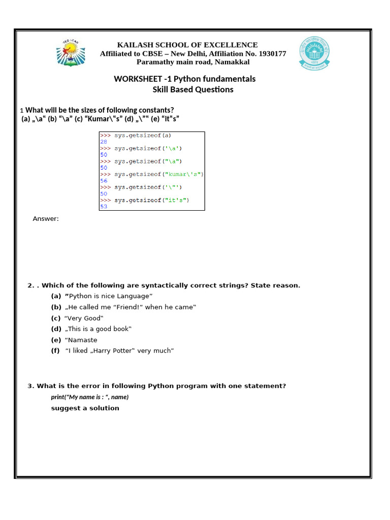 Class 11 Python Fundamentals Worksheet | PDF