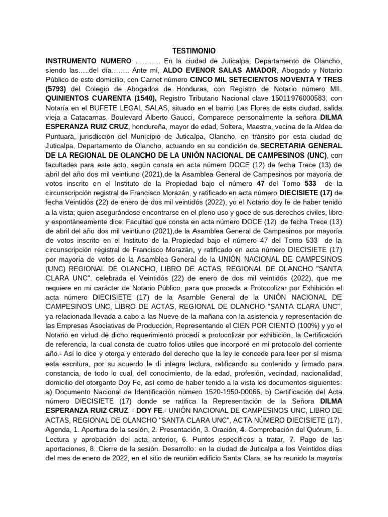 Acta 17 | PDF | Ley común | Derecho Civil (Common Law)