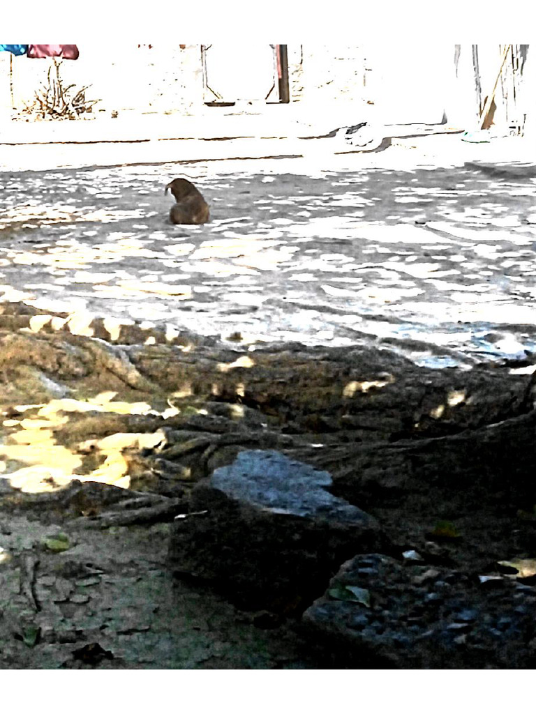 PDF Scanner 050924 2.43.45 | PDF