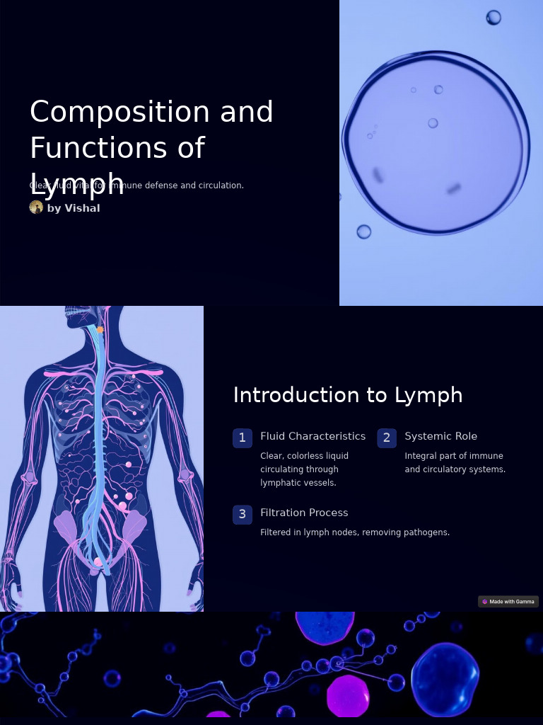 Composition and Functions of Lymph | PDF