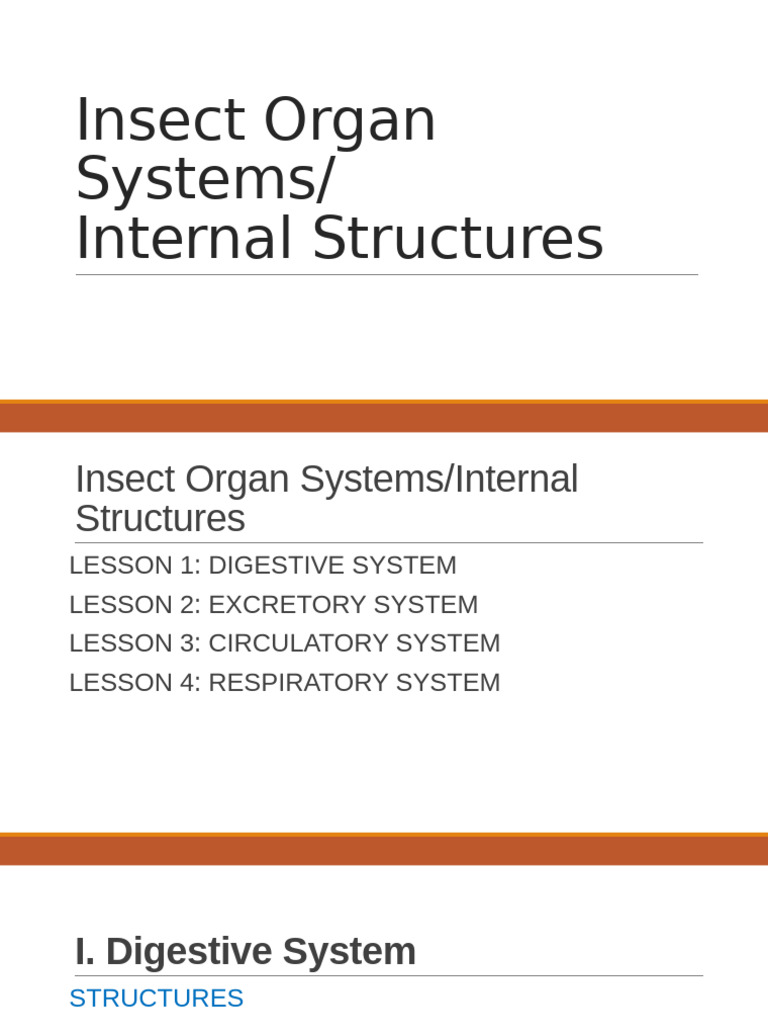 II.B. Digestive Excretory Circulatory and Respiratory 015023 | PDF ...