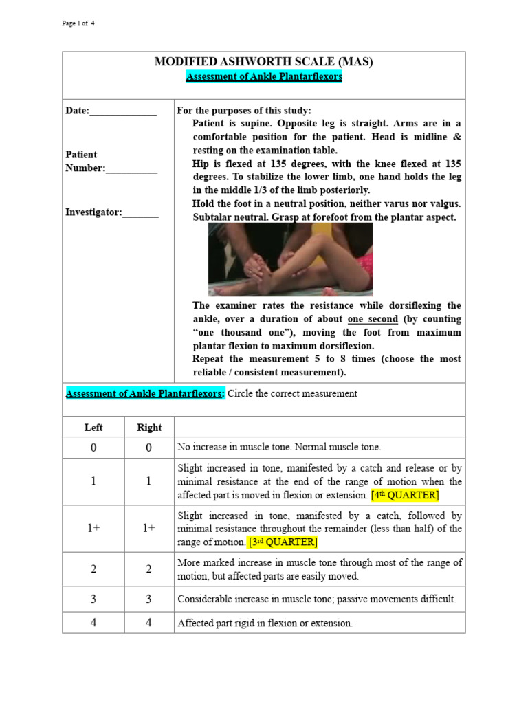 Modified Ashworth Scale | PDF | Anatomical Terms Of Motion | Elbow