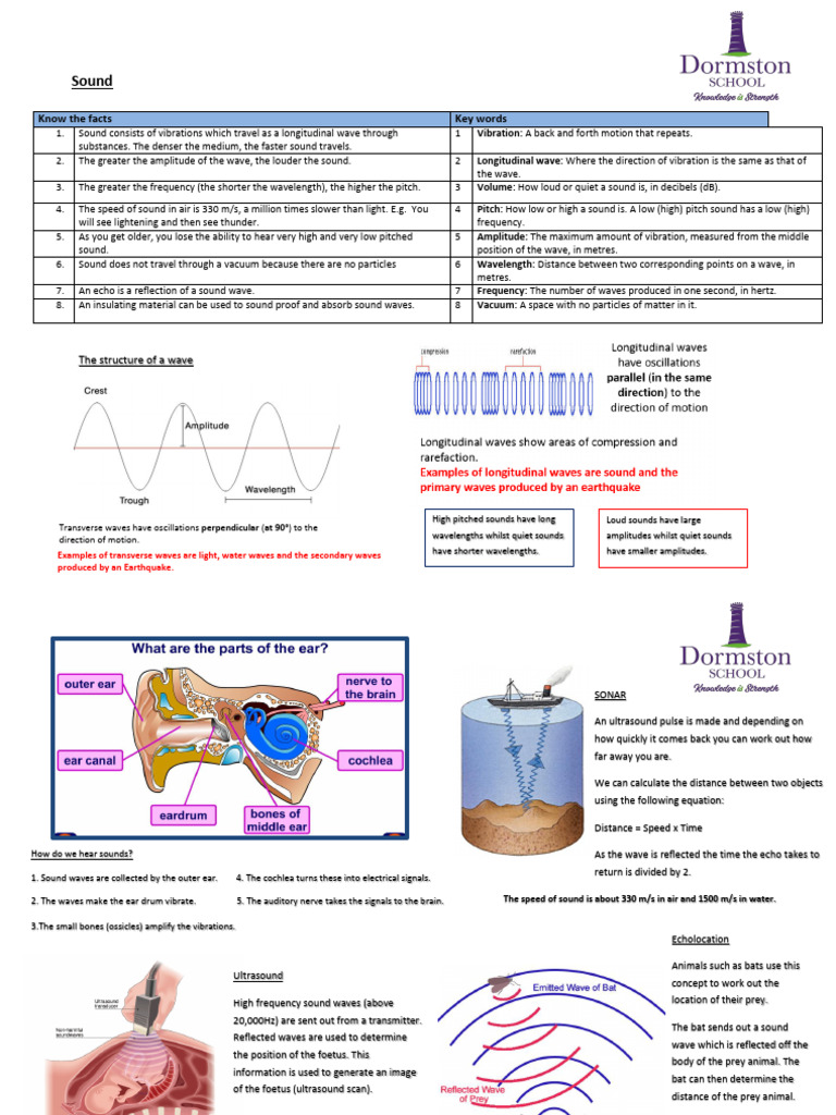 Science Year 7 Physics Sound and Light 1 | PDF | Sound | Waves