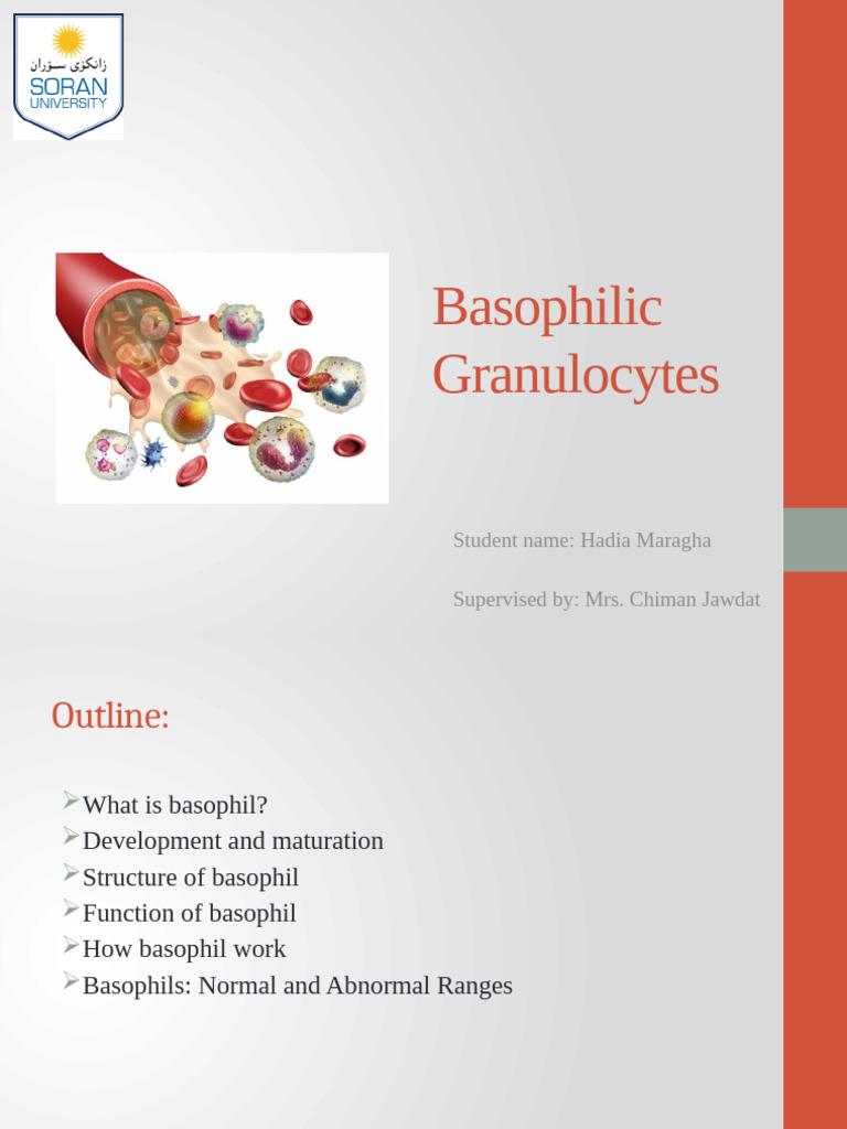 Basophilic Granulocytes | PDF | Lifestyle