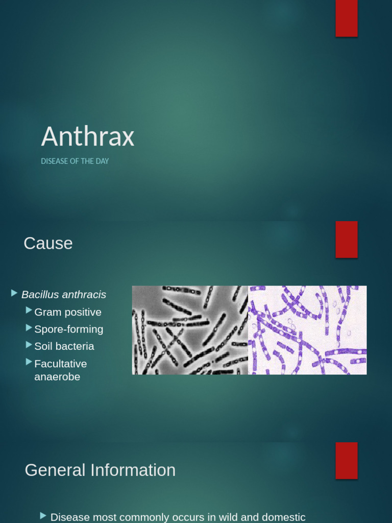 DOD Anthrax | PDF | Anthrax | Medical Specialties